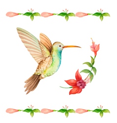 Hummingbird tropical humming bird character Vector Image