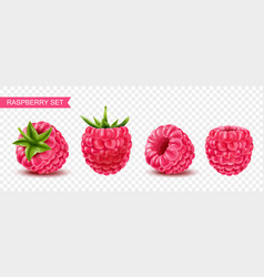 Realistic exotic fruits set Royalty Free Vector Image