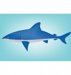 Shark in ocean Royalty Free Vector Image - VectorStock