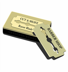 Razor icon abstract triangle Royalty Free Vector Image