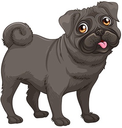 Cute cartoon pug dog with unicorn custom Vector Image