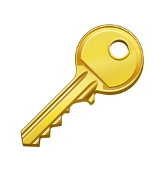 Gold key Royalty Free Vector Image - VectorStock