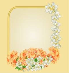 Golden frame with yellow hibiscus greeting card Vector Image
