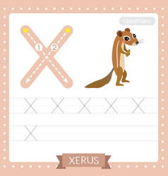 Letter x uppercase and lowercase tracing practice Vector Image