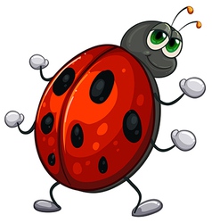 A red bug Royalty Free Vector Image - VectorStock