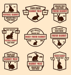 Rabbit sketch artistic graphic image Royalty Free Vector