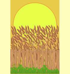 Crop field Royalty Free Vector Image - VectorStock