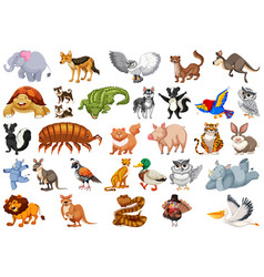 Set of wild animals Royalty Free Vector Image - VectorStock