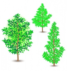 Tree Symbols Set Royalty Free Vector Image - VectorStock