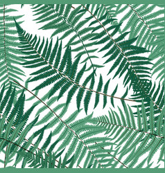 Fern Royalty Free Vector Image - VectorStock