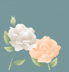 Purple roses and two heart shape symbol love Vector Image