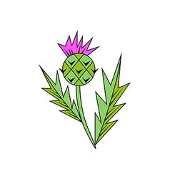 Thistle Royalty Free Vector Image - VectorStock