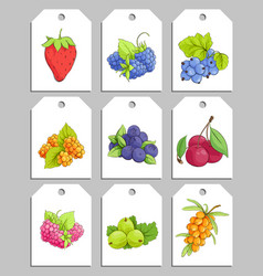 Berry labels Royalty Free Vector Image - VectorStock