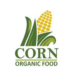 Corn label Royalty Free Vector Image - VectorStock