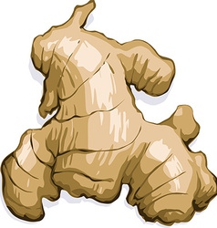 Ginger Royalty Free Vector Image - VectorStock