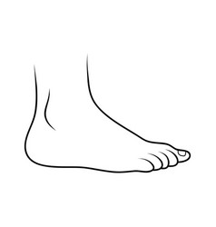 Foot icon outline design isolated on white Vector Image