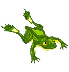 Cartoon picture face a tired frog Royalty Free Vector Image