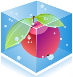 Splashing ice cubes Royalty Free Vector Image - VectorStock