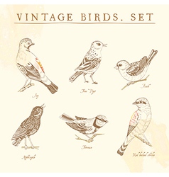 Various birds theme set 1 Royalty Free Vector Image