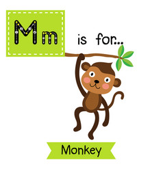 Letter m tracing cute monkey Royalty Free Vector Image