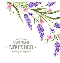 Label with lavender Royalty Free Vector Image - VectorStock