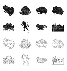 Design wildlife and bog symbol set Royalty Free Vector Image