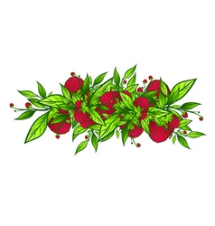 Raspberry Border Royalty Free Vector Image - VectorStock