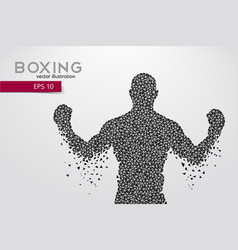 Boxing silhouette Royalty Free Vector Image - VectorStock
