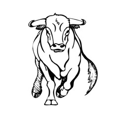 Bull Royalty Free Vector Image - VectorStock