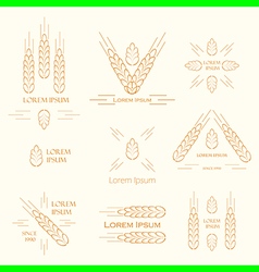 Spica logos Royalty Free Vector Image - VectorStock