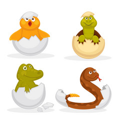 Cartoon chicken or yellow chick Royalty Free Vector Image
