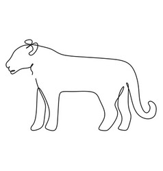 Lioness one line drawing Royalty Free Vector Image