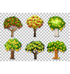 Mango tree on transparent background Royalty Free Vector
