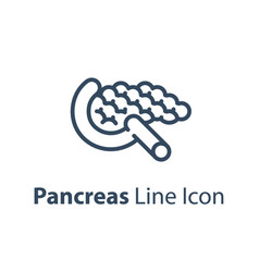 Cartoon of Human Internal Pancreas Anatomy Vector Image