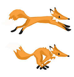 Fox jump Royalty Free Vector Image - VectorStock