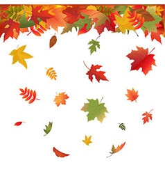 Autumn leaves Royalty Free Vector Image - VectorStock