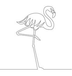 Flamingo continuous line drawing Royalty Free Vector Image
