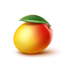 Apple Royalty Free Vector Image - VectorStock