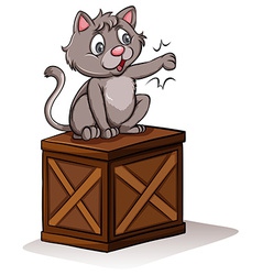 A cat above box Royalty Free Vector Image - VectorStock