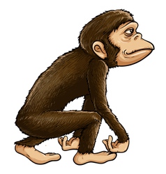 Set human evolution transparent background Vector Image