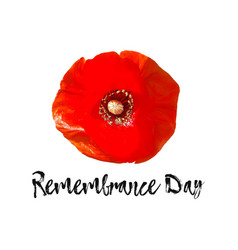Remembrance day card lest we forget Royalty Free Vector