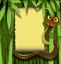 Boa snake dad with moustache animal parent and its