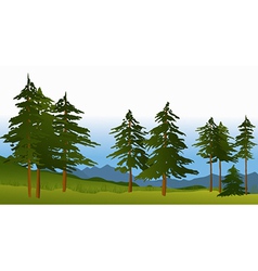 Three forest banners Royalty Free Vector Image