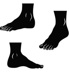 Feet Royalty Free Vector Image - VectorStock