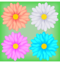 Four frames with colorful flowers Royalty Free Vector Image