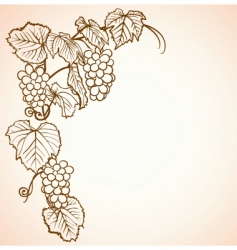 Vintage grape background Royalty Free Vector Image