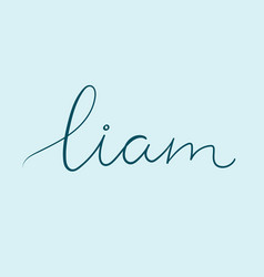La vie en rose quote lettering handwriting Vector Image