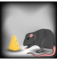 Mouse cheese Royalty Free Vector Image - VectorStock