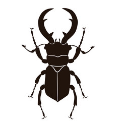 Stag beetle Royalty Free Vector Image - VectorStock