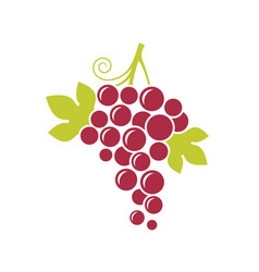 Red grapes Royalty Free Vector Image - VectorStock